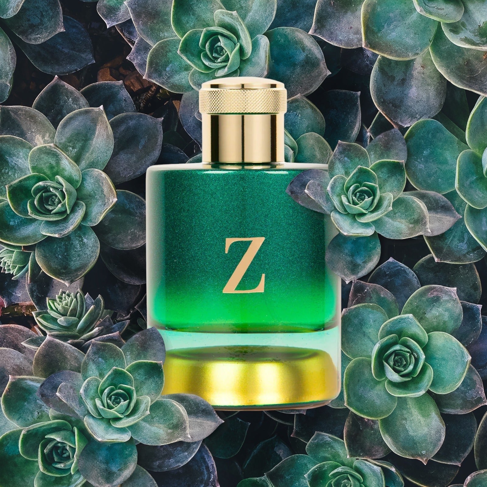 Esplora l'Alta Profumeria - Profumi di lusso Online | ZHOR PARFUMS